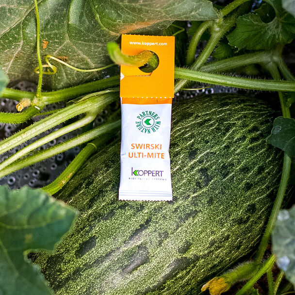 Swirski Ulti-Mite | Koppert Productos