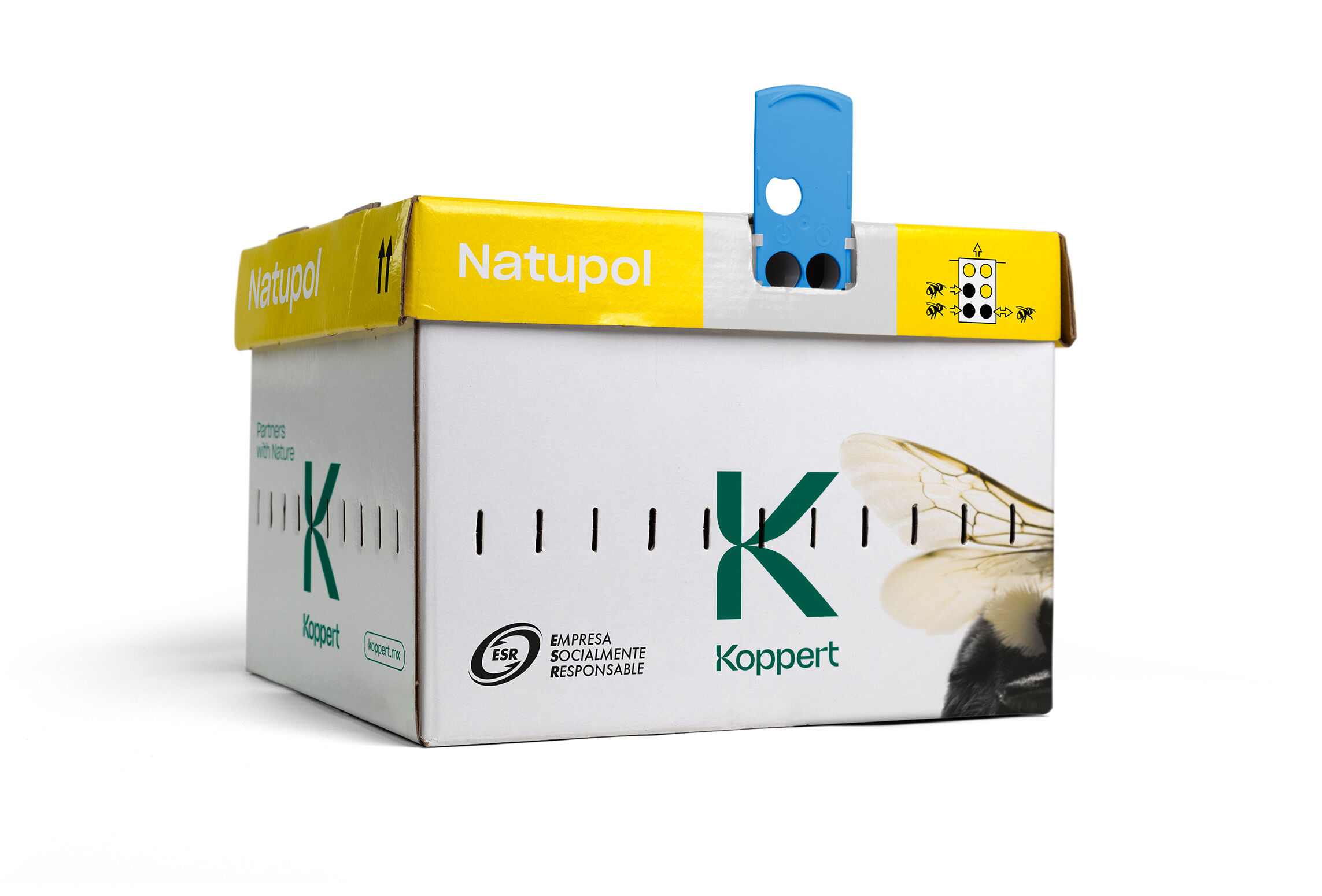 Descubre la nueva imagen de nuestras colmenas y sus mejoras aplicadas ...