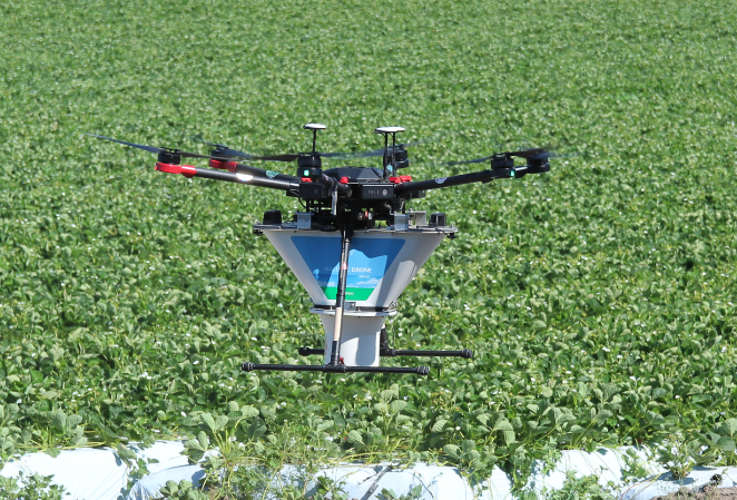 Noticias | Koppert México