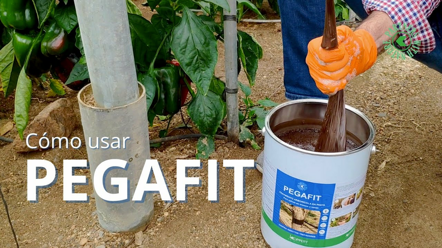 Pegafit | Koppert Productos