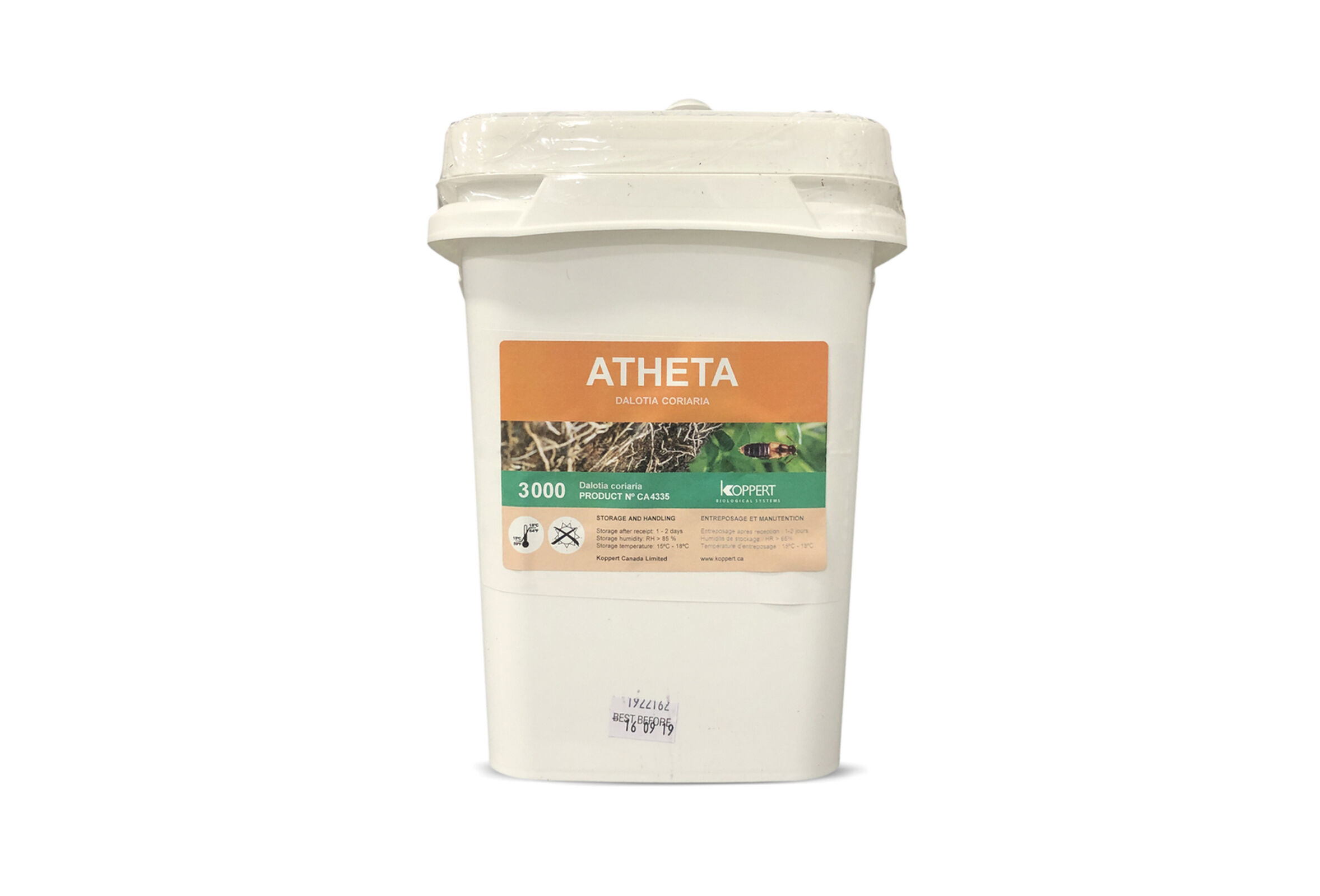 Atheta | Koppert Productos