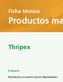 Descargar | Koppert México