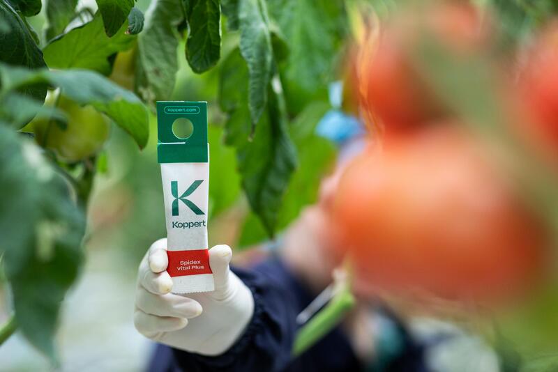 Prolonga la defensa contra la araña roja con la nueva presentación en ...