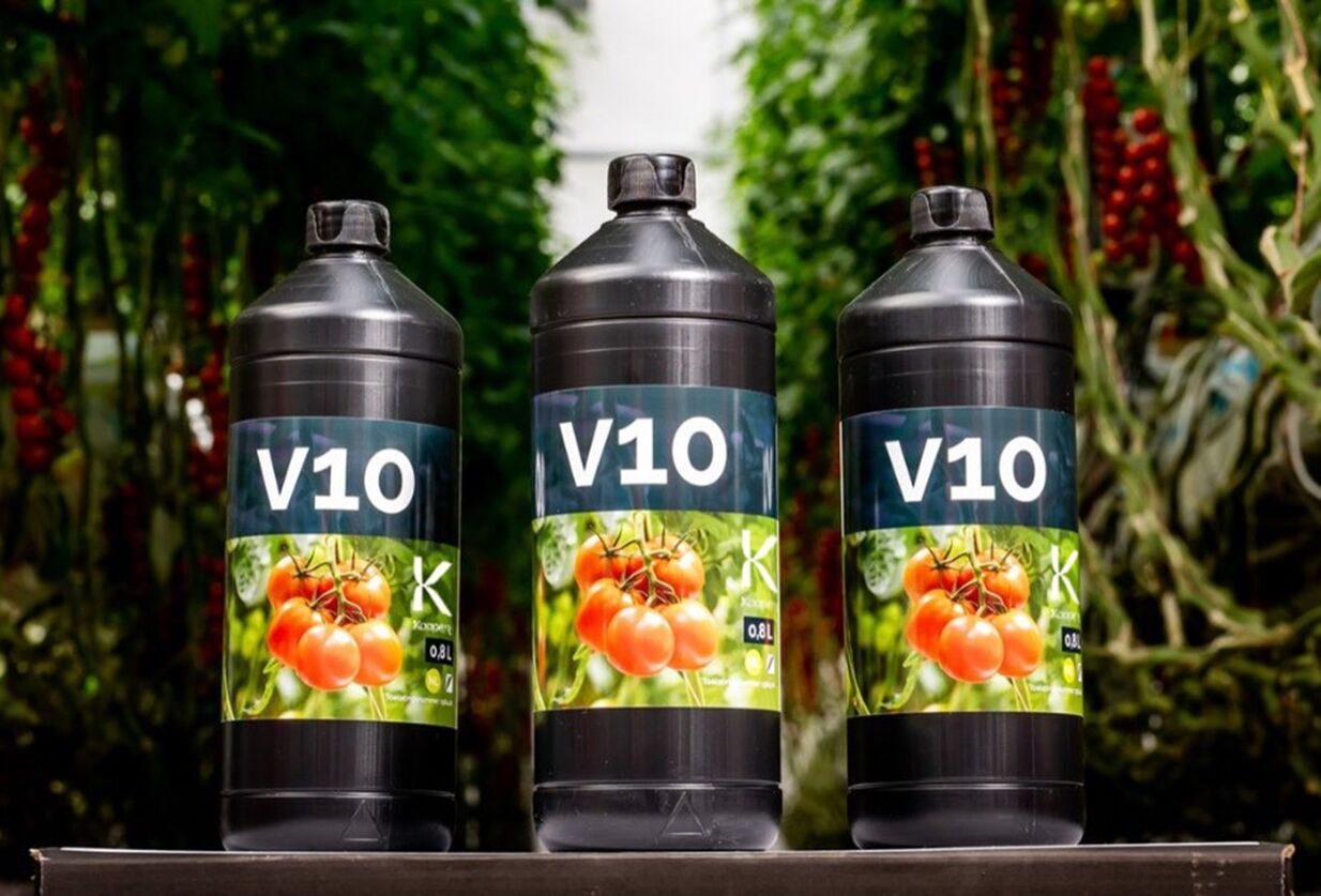 V10 es reconocido como la innovación neerlandesa del año | Koppert México