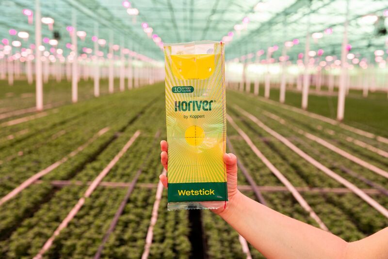 Trampas adhesivas para monitoreo y captura de plagas