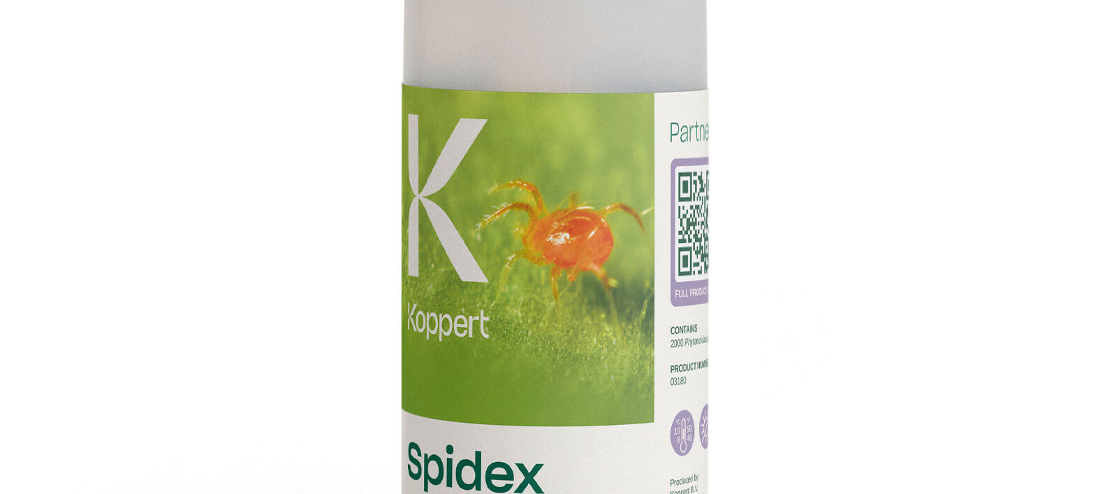 Guía esencial para el control de la araña roja | Koppert México